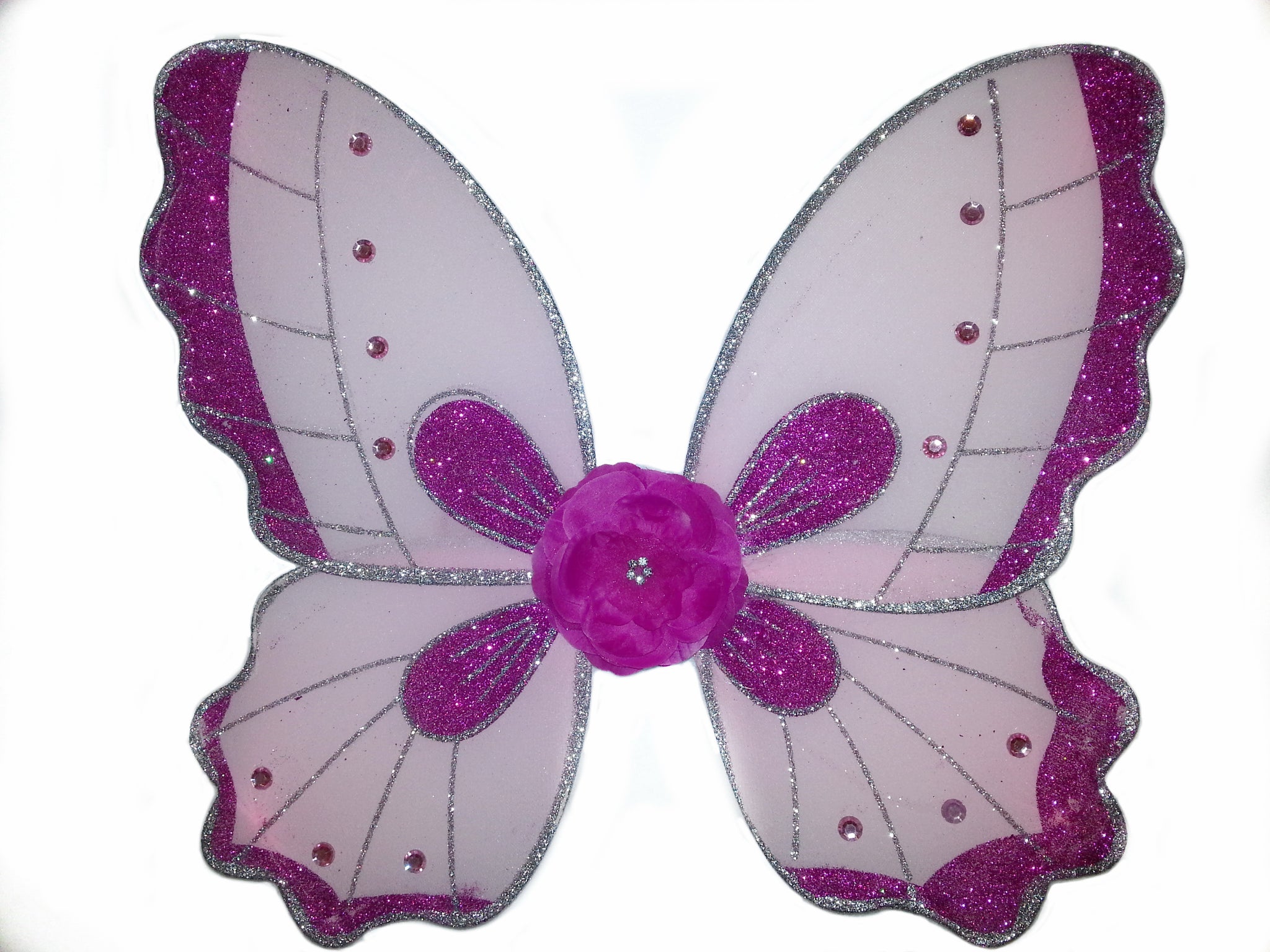 Fairy Wings Princess Wings | Fairy Finery