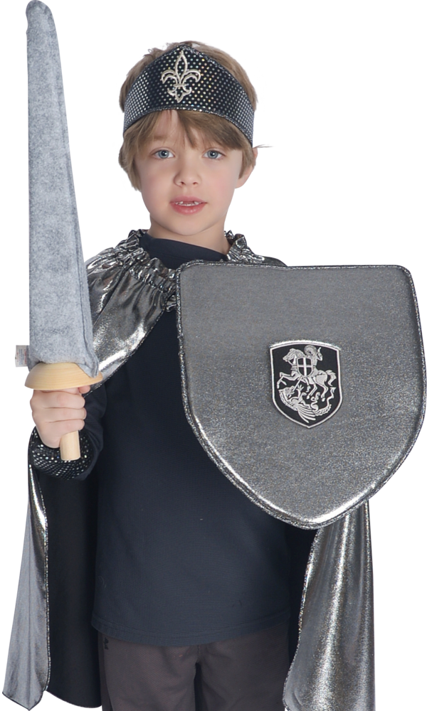 Knight's Silver Shield | Fairy Finery